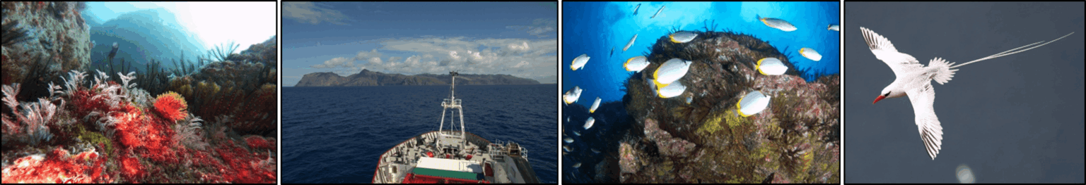 Marine Conservation Section – St Helena