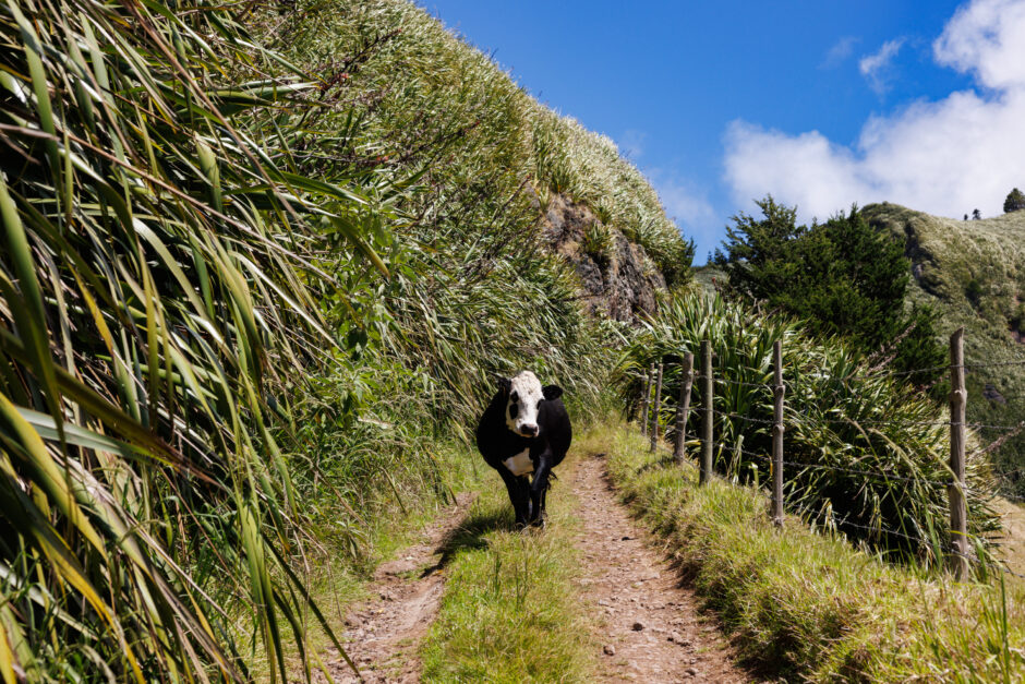 New St Helena Map – St Helena